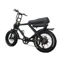 China Fat Tyre Electric Bike 48V 20Ah 7 Speed Snow Beach Fast Speed Customized 2 Seats E Bike for sale
