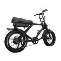 China Fat Tyre Electric Bike 48V 20Ah 7 Speed Snow Beach Fast Speed Customized 2 Seats E Bike for sale