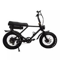 China Fat Tyre Electric Bike 48V 20Ah 7 Speed Snow Beach Fast Speed Customized 2 Seats E Bike for sale