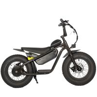 China 48V 500W Off Road Electric Motorcycle for Children 60km Range 16 Inch Tires for sale
