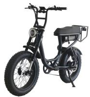 China Custom 2 Seat Electric Fat Tire Bike 48V 15AH Battery 20 Inch Bafang Motor for sale