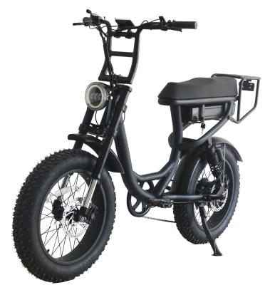 China Custom 2 Seat Electric Fat Tire Bike 48V 15AH Battery 20 Inch Bafang Motor for sale