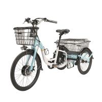 China 48V 13Ah Electric Tricycle 250W Motor 3 Wheel Cargo Bike Fat Tire Adult E Trike for sale