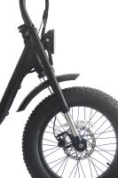China Custom 2 Seat Electric Fat Tire Bike 48V 15AH Battery 20 Inch Bafang Motor for sale