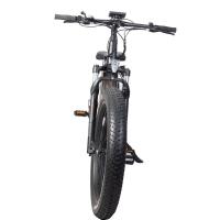China Carbon Fiber Electric Mountain Bike 48V 500W Mid Drive Motor with Color LCD Display for sale