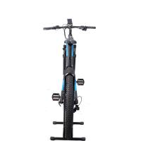 China Carbon Fiber Electric Mountain Bike 48V 500W Mid Drive Motor with Color LCD Display for sale