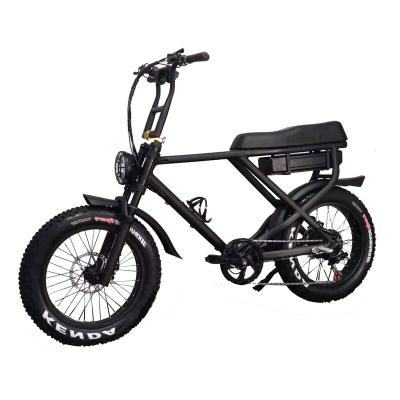China Off-Road Dual Motor Electric Bike 1000W 48V 20Ah Adult Fat Tire E-Bike with Rear Carrier Battery for sale