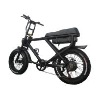 China Off-Road Dual Motor Electric Bike 1000W 48V 20Ah Adult Fat Tire E-Bike with Rear Carrier Battery for sale