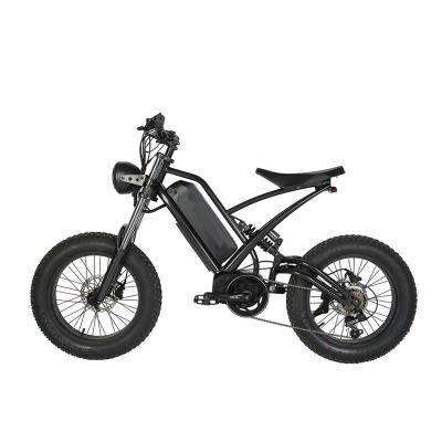 China Domanca 20 Inch Fat Tire Electric Enduro E-Bike 48V 22.5Ah Disc Brake 7 Speed Off Road MTB for sale