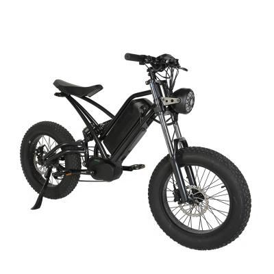 China Domanca 20 Inch Fat Tire 1000W Electric Bike 48V 22.5Ah Down Tube Battery MTB Off Road Ebike for sale