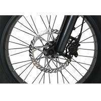 China Domanca 1000W 48V 20 Inch Fat Tire Electric Bike 7 Speed Gears Off Road Adult E Bike for sale
