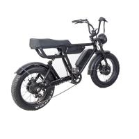 China Dual Battery Dual Motor Electric Mountain Bike 48V 20Ah 7 Speed 20 Inch Aluminum Alloy Frame E Bike for sale