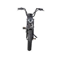 China Domanca Retro Ebike Cruiser Dual Battery 48V 20Ah 1000W Electric Fat Tire Bike 7 Speed for sale