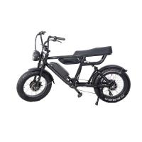 China Domanca 20 Inch Electric Mountain Bike 48V 20Ah Dual Motor Dual Battery 7 Speed for sale