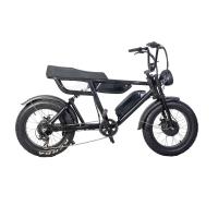 China Domanca 20 Inch Electric Mountain Bike 48V 20Ah Dual Motor Dual Battery 7 Speed for sale