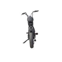 China Domanca 20 Inch Electric Mountain Bike 48V 20Ah Dual Motor Dual Battery 7 Speed for sale