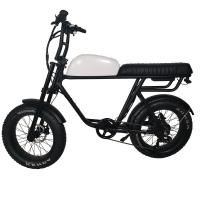 China Domanca 48V 20Ah Fast Speed Commuting Electric Bicycle 20x4 Fat Tire 7 Speed for sale