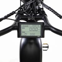 China Electric Hybrid Bike 1000W Motor 48V 20Ah Battery Aluminum Alloy Frame Max Speed 50Km/h for sale