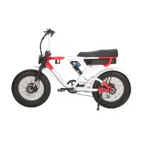 China LCD Display Electric Retro Motorcycle 750W Dual Motors 48V 20Ah Long Range for sale
