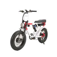 China LCD Display Electric Retro Motorcycle 750W Dual Motors 48V 20Ah Long Range for sale