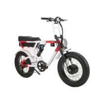 China LCD Display Electric Retro Motorcycle 750W Dual Motors 48V 20Ah Long Range for sale