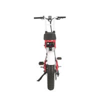 China LCD Display Electric Retro Motorcycle 750W Dual Motors 48V 20Ah Long Range for sale
