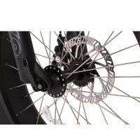 China 20 Inch Snow Fat Tire Electric Bike 48V 13Ah Battery 30-50 Nm Torque for sale