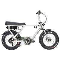 China 48V 500W Electric Fat Bike with Disc Brake 15Ah Lithium Battery City Design for Adults for sale