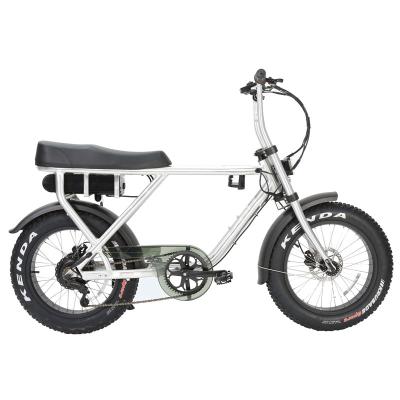China 48V 500W Electric Fat Bike with Disc Brake 15Ah Lithium Battery City Design for Adults for sale