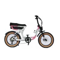 China 48V 500W Electric Fat Bike with Disc Brake 15Ah Lithium Battery City Design for Adults for sale
