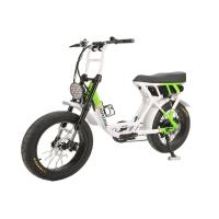 China 48V 500W Electric Fat Bike with Disc Brake 15Ah Lithium Battery City Design for Adults for sale
