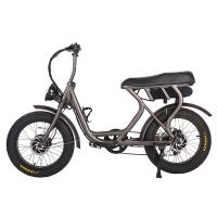 China 48V 500W Electric Fat Bike with Disc Brake 15Ah Lithium Battery City Design for Adults for sale