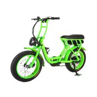 China 48V 500W Electric Fat Bike with Disc Brake 15Ah Lithium Battery City Design for Adults for sale