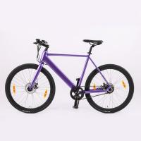 China 36V 9.6Ah Rear Hub Motor Electric Bicycle Purple E-bike for Smooth Commuting on Highway Road for sale