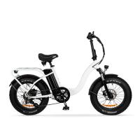 China Light Weight Aluminum Alloy Frame Ebike 20 Inch Fat Tire 48V 13Ah Battery 3 Hour Charge for sale