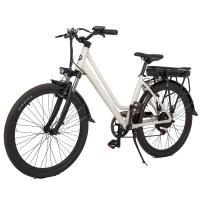 China 48V 40Ah Samsung Lithium Electric Bike 26x4.0 Fat Tire Bafang Motor Urban Explorer for sale