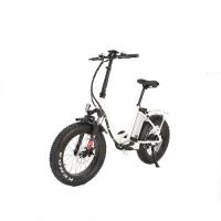 China Smart Electronic Folding Ebike 20 Inch Snow Fat Tire 48V 13Ah Battery OEM Customizable for sale