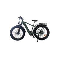China 48V 500W Electric Bike 20 Inch Fat Tire Ebike with 13Ah Lithium Battery Aluminum Alloy Frame for sale