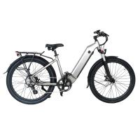 China Adult and Child Mountain Fat Tire Ebike 48V 15Ah Carbon Fiber Frame 11 Speed for sale