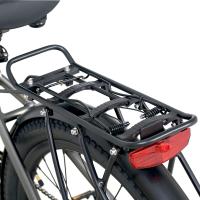 China Adult and Child Mountain Fat Tire Ebike 48V 15Ah Carbon Fiber Frame 11 Speed for sale