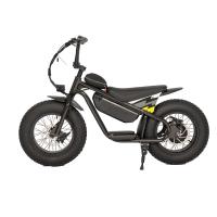 China Children Electric Dirt Bike 250W Motor 13Ah Battery EU House E-bike for Kids Off-Road Riding for sale