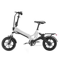 China 36V 250W Rear Hub Motor Electric Road Bike 700C Belt Drive eBike for OEM Wholesale for sale