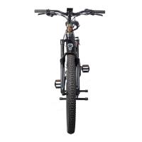 China 48V 1000W Carbon Fiber Electric Bike with 29x2.6 Tires and 60km Range for sale