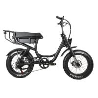 China Adult Custom Color Vintage Electric Fat Bike 20x4.0 48V 250W 7 Speed Step Through for sale