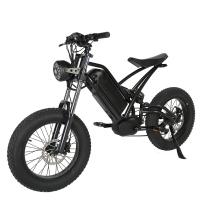China 750W 48V Electric Dirt Bike for Adults 60 km Range CE FCC Rohs Certified for sale
