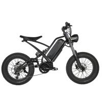 China 750W 48V Electric Dirt Bike for Adults 60 km Range CE FCC Rohs Certified for sale