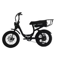 China 20 Inch Fat Tire Electric Cycle 48V 1000W Long Range 7 Speed Gears E Bike for sale