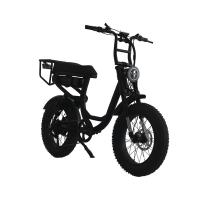 China 20 Inch Fat Tire Electric Cycle 48V 1000W Long Range 7 Speed Gears E Bike for sale