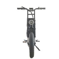 China 20 Inch Fat Tire Electric Cycle 48V 1000W Long Range 7 Speed Gears E Bike for sale