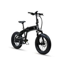 China DOMANCA 48V 20 Inch Electric Folding Bike 500W Rear Hub Motor Customizable for sale
